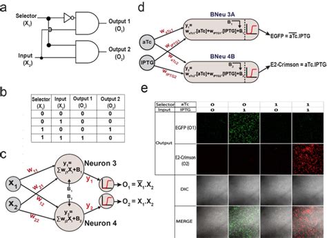 Circuit Diagram Of Multiplexer And Demultiplexer Circuit Diagram