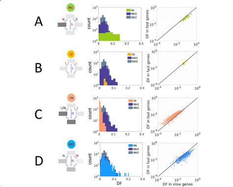 Selective Regimes Of The Codon Double Substitutions The Panels On The