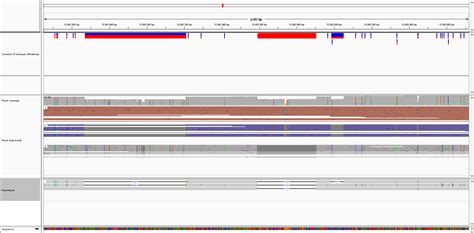 Freebayes Occasionally Incorrectly Genotyping Large Deletions · Issue 763 · Freebayesfreebayes