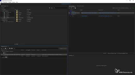 Efficient Preset Browser Usage In Adobe Media Encoder 2020
