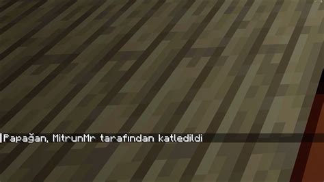 Minecraft S4 B4 Papağancığım Youtube