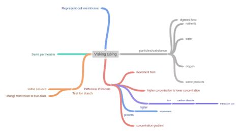 Visking Tubing Coggle Diagram