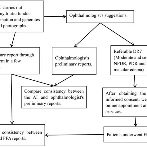 Research Flow Chart Ai Artificial Intelligence Ffa Fundus