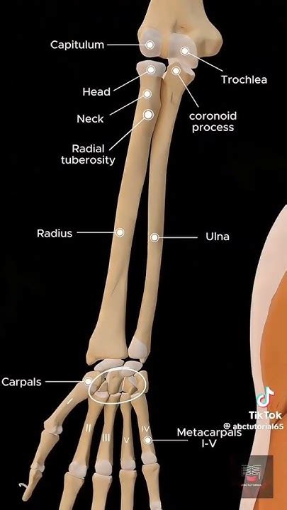 21 June 2025 Youtube