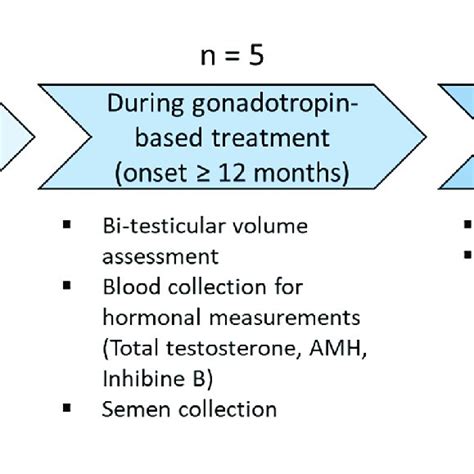 Protocol Design Physical Examination And Biological Samples At Each Download Scientific