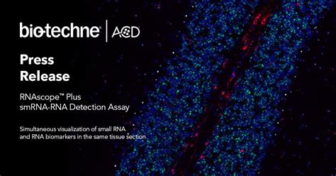 Alexandre Fouassier On Linkedin Bio Techne Launches Rnascope Plus Assay To Advance Gene Therapy…