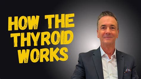 Understanding How The Thyroid Works
