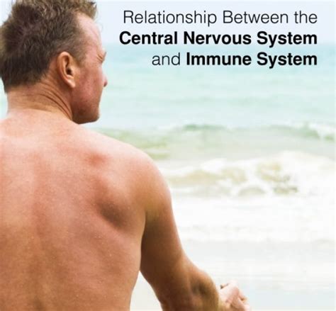 Immune System Medical Age Management