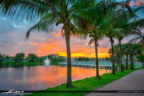Palm Trees Florida Beach Home