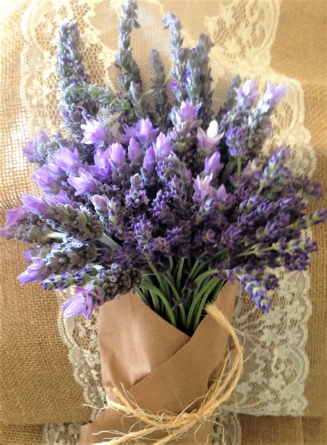 Fresh Mixed Lavender Bouquets Lavender Bouquet Flowers Bouquet Lavender