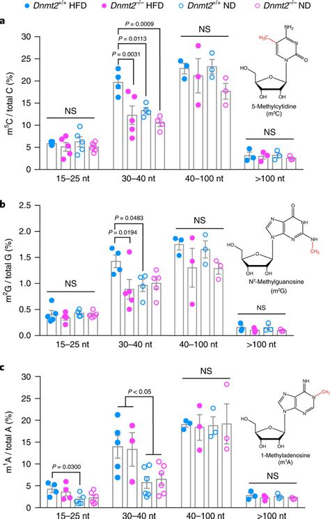 Altered RNA Modifications In Different Sperm RNA Fractions From F Download Scientific Diagram