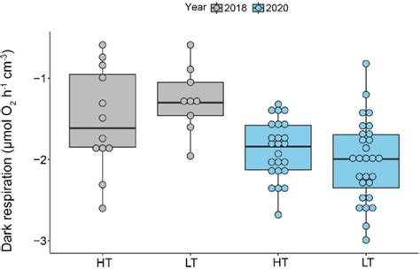 Dissolved Oxygen Consumption Per Sponge Volume Measured During The