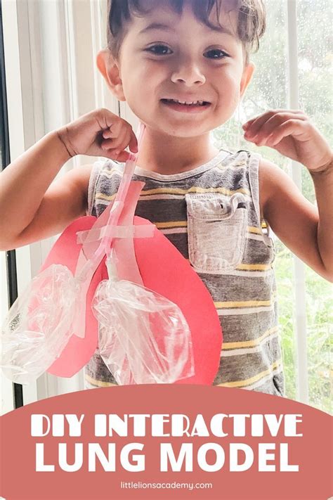 Diy Interactive Lung Model Artofit
