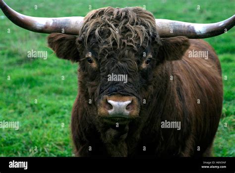 Look At Me Stock Photo Alamy