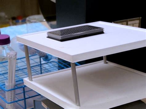 Video A Quantitative Assay To Study Proteindna Interactions Discover