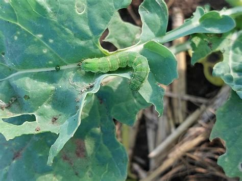 Сигналізаційне повідомлення Головне управління Держпродспоживслужби в Дніпропетровській області