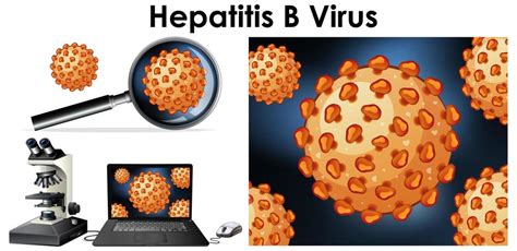Close Up Isolated Object Of Virus Hepatitis B 685441 Vector Art At Vecteezy