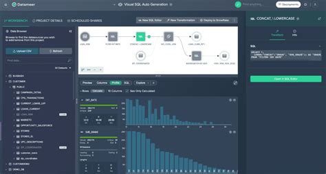 The No Code Snowflake Alternative For Business People Datameer