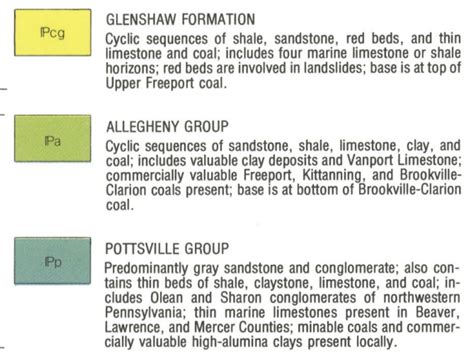 Please Help Id Fossil ID The Fossil Forum