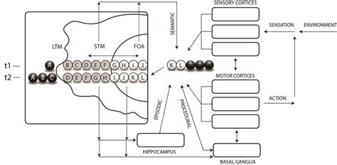 A Single Cycle Of The Iterative Updating Procedure Download