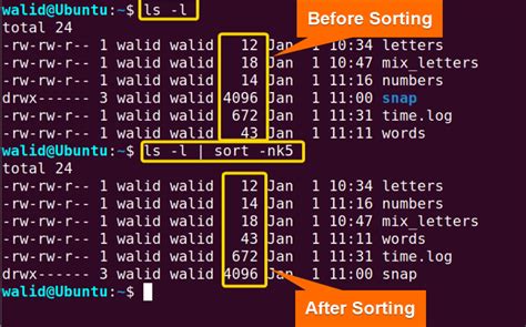 The Sort Command In Linux 16 Practical Examples