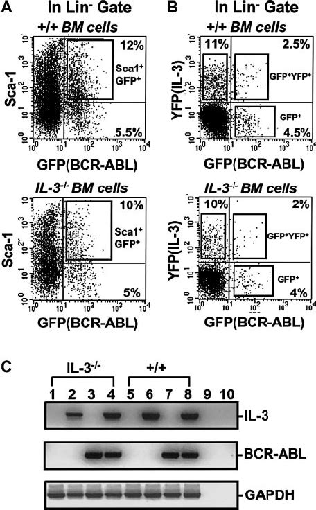 Facs Pro Fi Les Of Transduced ؉ ؉ And Il 3 ؊ ؊ Bm Cells A Dot