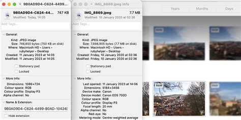 Budding Photographer Reasons Why You Should Be Shooting RAW