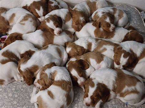 Its A Very Stormy Day And A Lightening Strike Shook The House I