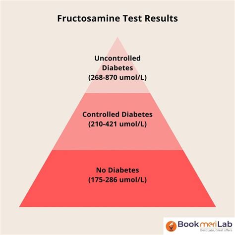Fructosamine Test Purpose Hba1c Difference And Collection 2025