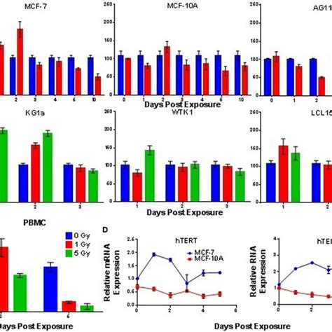 Telomerase Activity Following Low Dose Rate γ Ray Exposures A