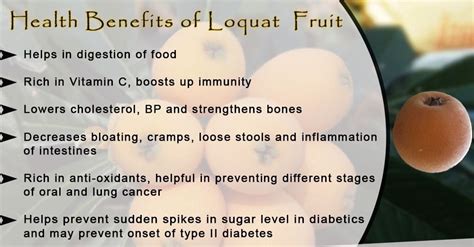 Health Benefits Of Loquat Fruit By Dr Divya Sharma Lybrate