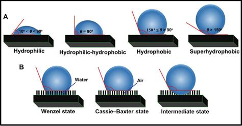 Advanced Bioinspired Superhydrophobic Marine Antifouling Coatings Intechopen