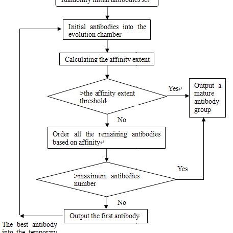Clonal Selection Algorithm Flowchart Figure Clonal Selection Download Scientific Diagram