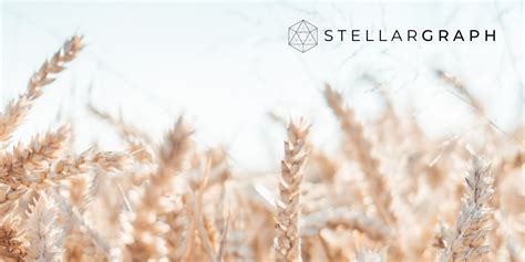 Graph Machine Learning In Genomic Prediction Kdnuggets