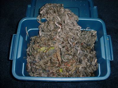 Pollinators Welcome To Make A Worm Bin Use Rubbermaid Container