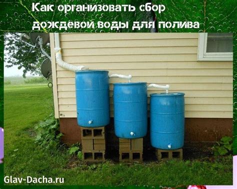 сбор дождевой воды для полива Сбор дождевой воды Дождевой сад Идеи