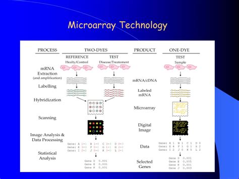Ppt Introduction To Microarray Gene Expression Powerpoint Presentation Id 4244453