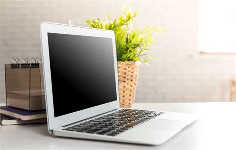 Обои цветы ноутбук Hi Tech на телефон и рабочий стол раздел Hi Tech