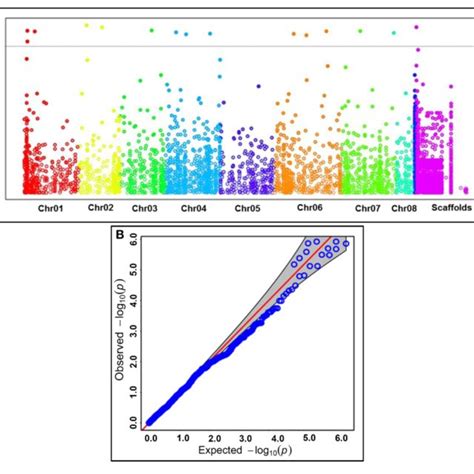 A Gwas Derived Manhattan Plot Showing Significant P Values Download Scientific Diagram
