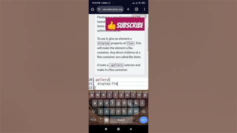 Master Css Flexbox Build A Photo Gallery Freecodecamp Solution Step