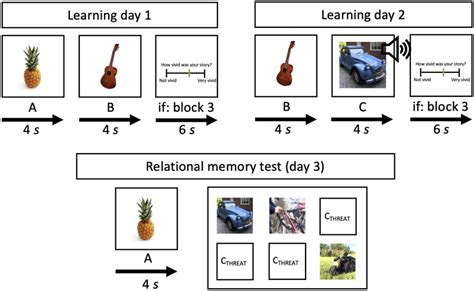 Overview Of Task Structure On Both Learning Days And The Associative