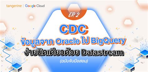 Cdc ข้อมูลจาก Oracle ไป Bigquery ง่ายนิดเดียวด้วย Datastream ฉบับจับมือสอน Ep23 Tangerine