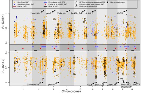 Genetic Architecture Of Rpr Deduced From Integration Of Different