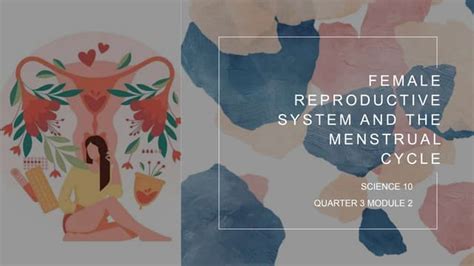Menstrual Cycle Presentation Pptx Grade 10 Pptx