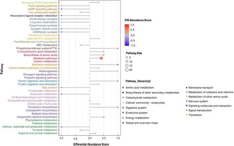 A Differential Abundance Score Map Of Differential Metabolic Pathways