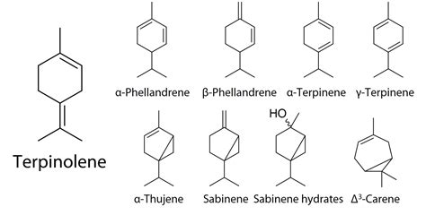 Terpene Groups As Strain Characteristics Phytochemia