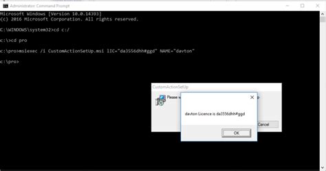 How To Pass Custom Actions To A WIX Installer Using Command Line Arguments