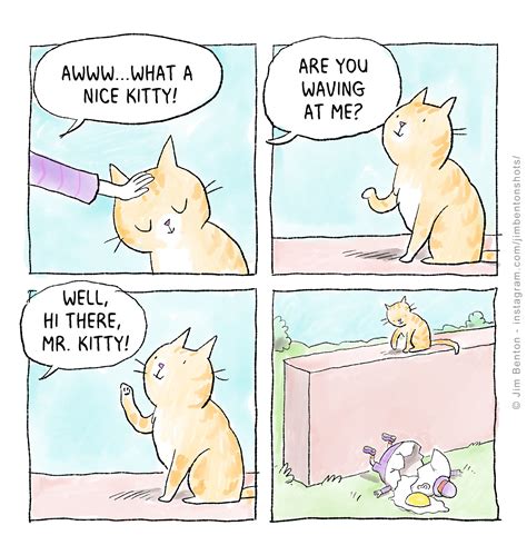 Nice Kitty Album On Imgur