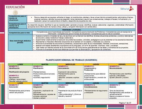 Programa Analitico Primaria Nem Plan Analitico Contestado