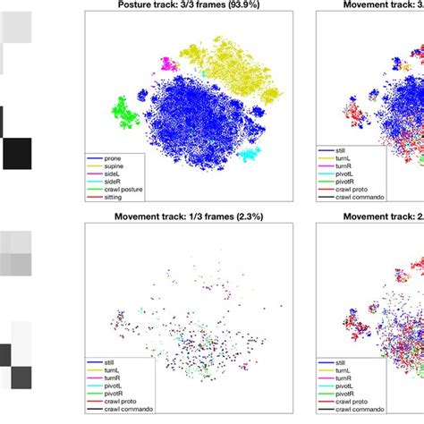 Design Of The Automatic Classification Pipeline A The Convolutional Download Scientific